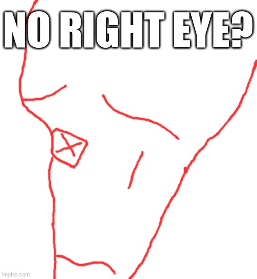 he said in any way so i delivered - Imgflip