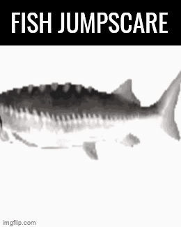 Animated GIF - Imgflip