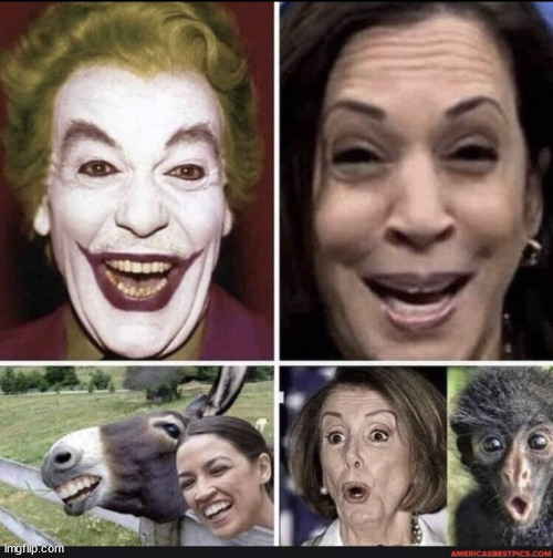 Which First Lady wore it better? - Imgflip