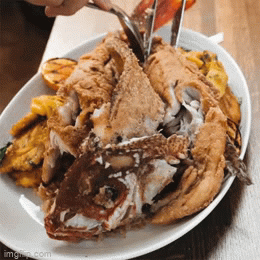 Fried fish - Imgflip