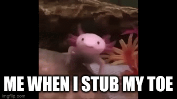 ME WHEN I STUB MY TOE - Imgflip