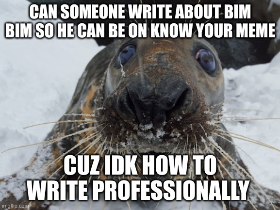 his name's bim bim - Imgflip