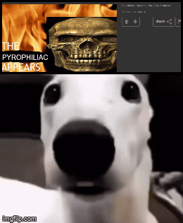 Shivering Dog - Imgflip