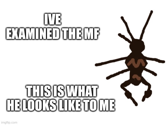 im sure hes just some basic bitch beetle - Imgflip