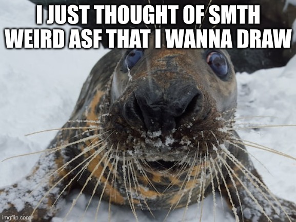 not telling, either - Imgflip