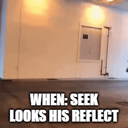 introducing - Imgflip