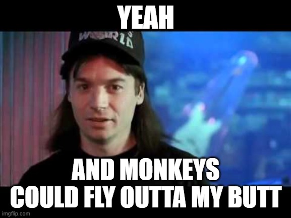 Wayne's world - Imgflip