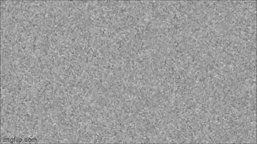 Animated GIF - Imgflip