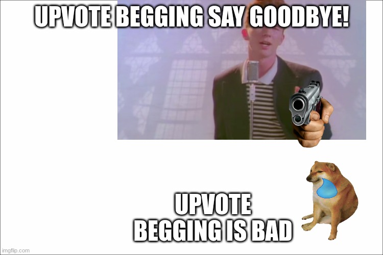 Image tagged in bad pun dog - Imgflip