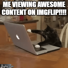 i freaking love img flip - Imgflip