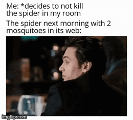 Spider in ya room - Imgflip
