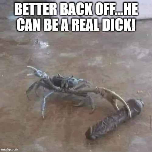 Crabby - Imgflip