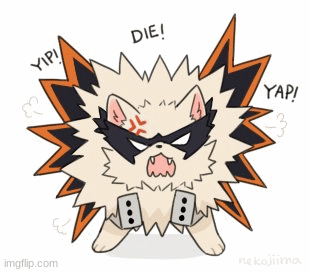 Angry pomerain - Imgflip