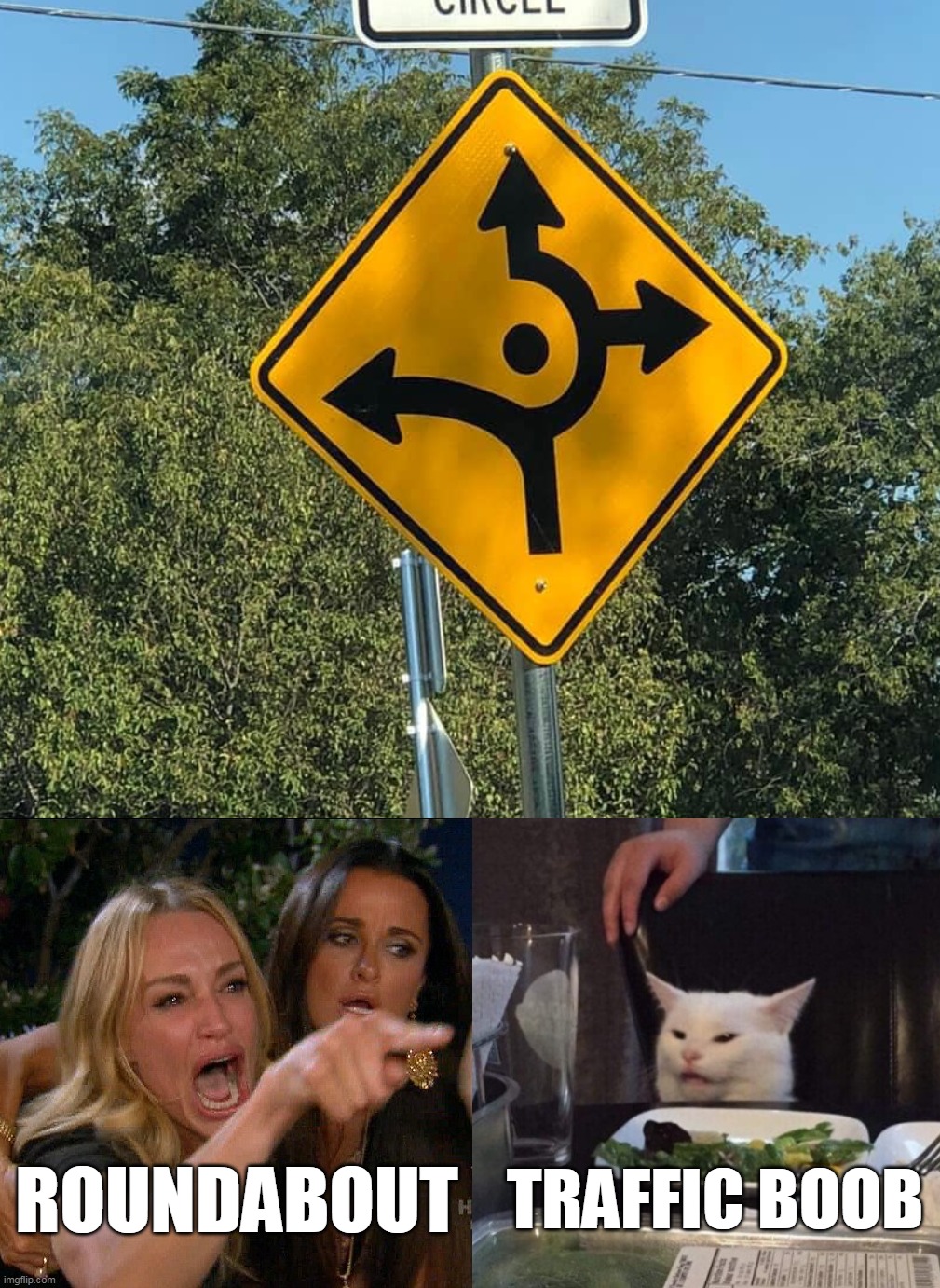 Image tagged in woman yelling at cat,meme,memes,humor,funny,signs - Imgflip