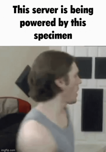 Animated GIF - Imgflip