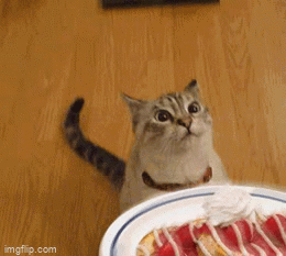 Cat Brioche French Toast - Imgflip