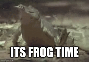 Its frog time - Imgflip