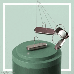Animated GIF - Imgflip