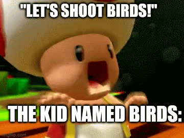 Don't shoot birds - Imgflip