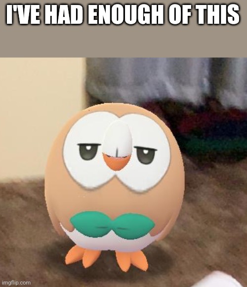Sleepy Rowlet - Imgflip