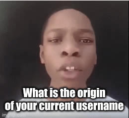 answer me cause I'm bored (I mean why did your chose your username) - Imgflip