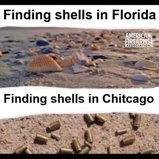 Florida vs. Chitcago - Imgflip