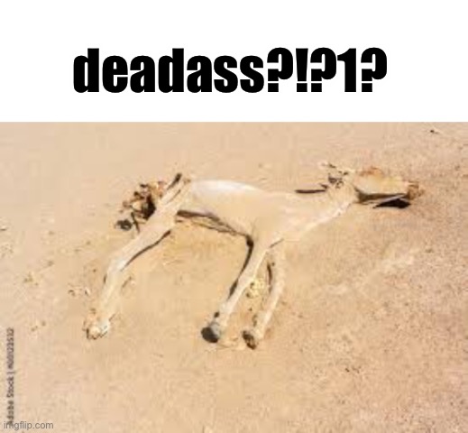 Image tagged in blank white template - Imgflip