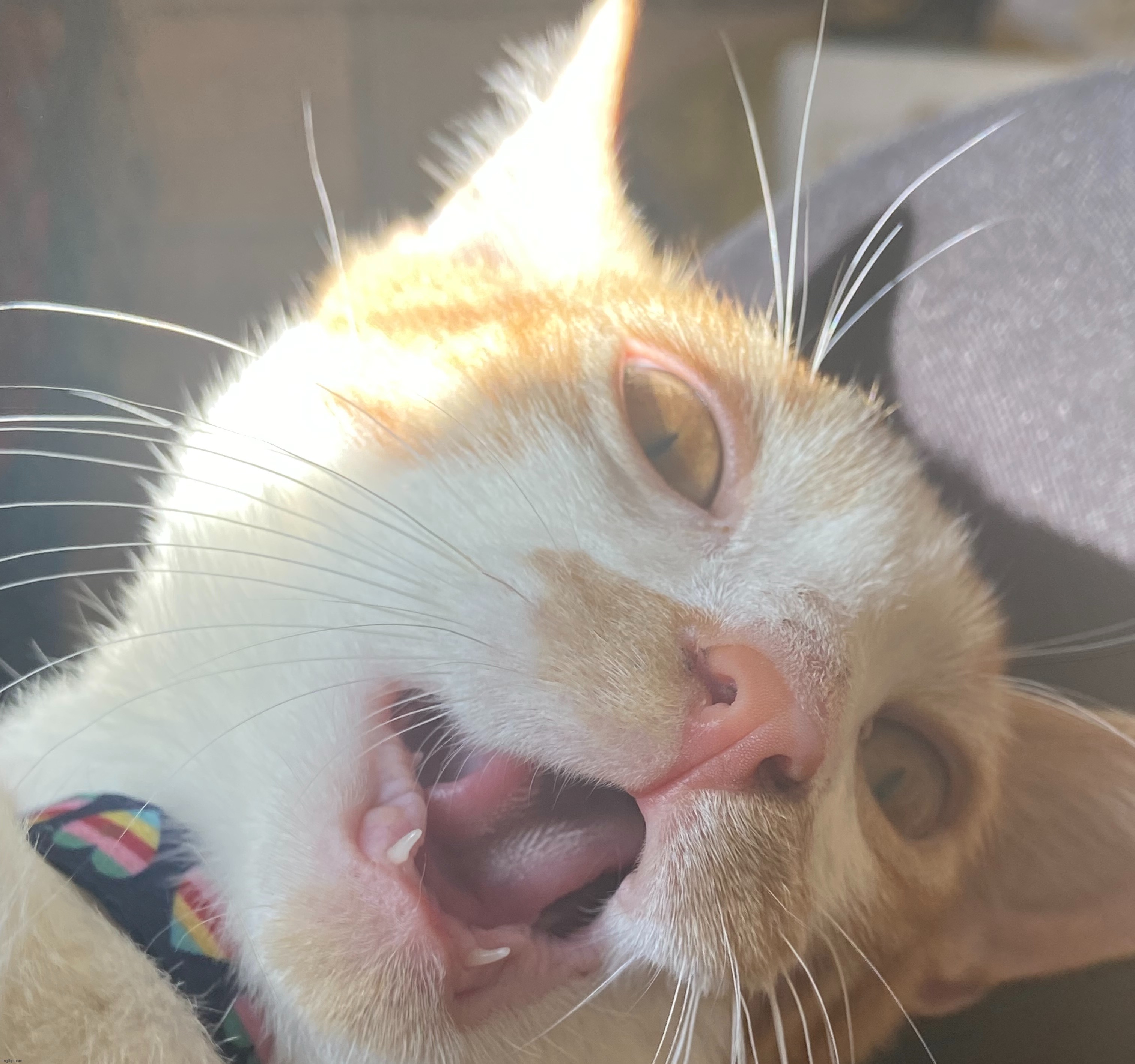 I think he’s possessed - Imgflip