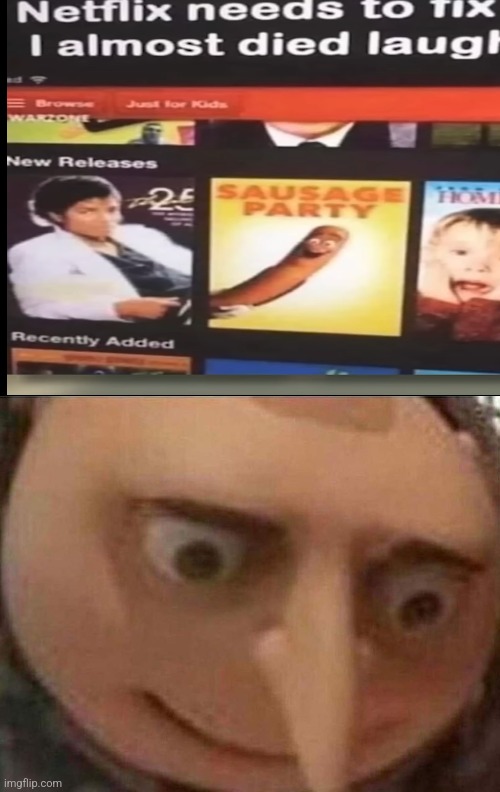 Yes, netflix needs to fix this - Imgflip