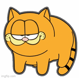 Every Cat when you are about to feed them - Imgflip