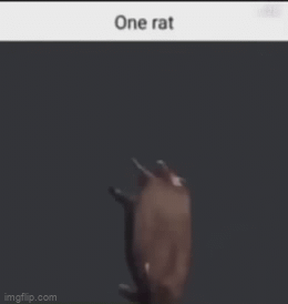One Rat - Imgflip