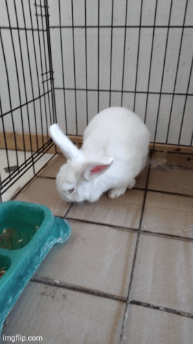 snowball demon :) - Imgflip