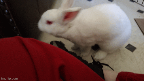 More demon - Imgflip