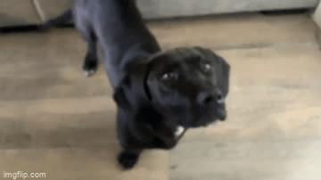 Sorry this isn’t a reaction I can’t submit anything in the fun stream ...