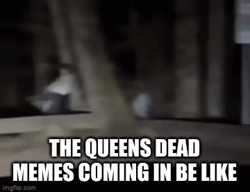 them dead memes! - Imgflip