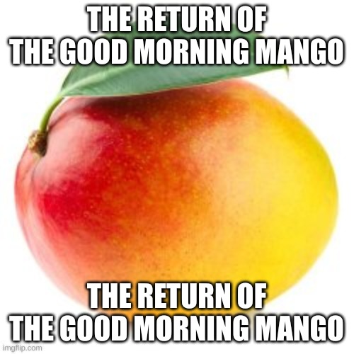 Cursed cat temp - Imgflip