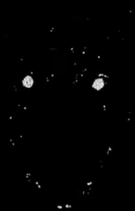 Phase 138 Blank Template - Imgflip