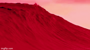 Animated GIF - Imgflip