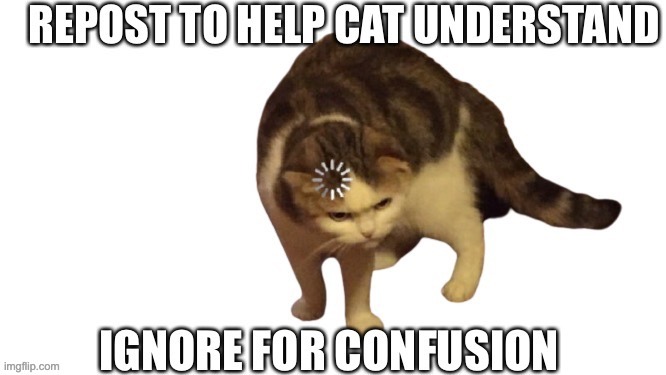Image tagged in repost to help cat understand - Imgflip