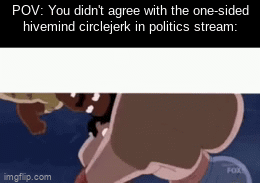 mfs call MSMG the most toxic stream on the website yet politics is practically a cult. - Imgflip