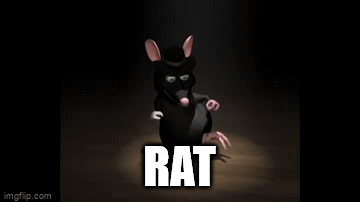 Dancing Rat - Imgflip