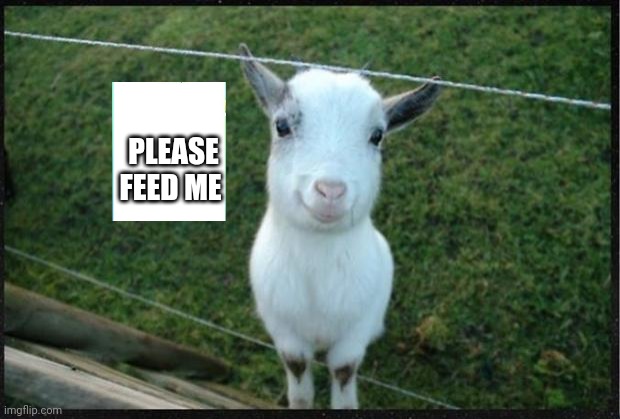 Booooooooooks - Imgflip