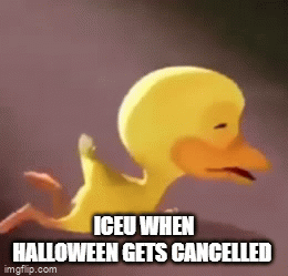 WHYYYYYYYY - Imgflip