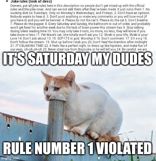 Image tagged in cat sucking pipe - Imgflip