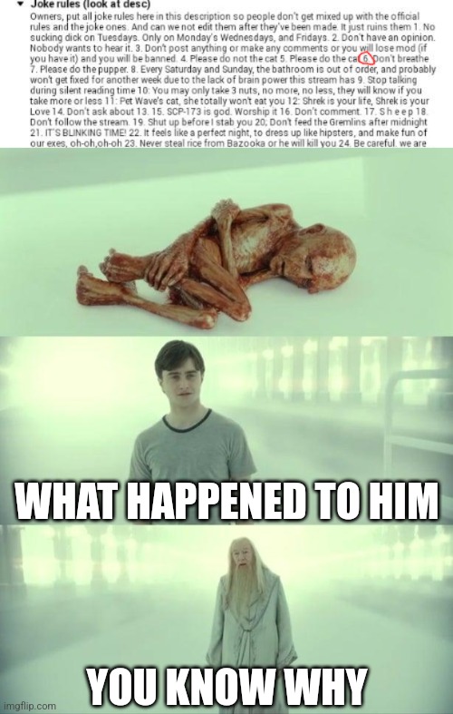 Image Tagged In Dead Baby Voldemort What Happened To Him Imgflip