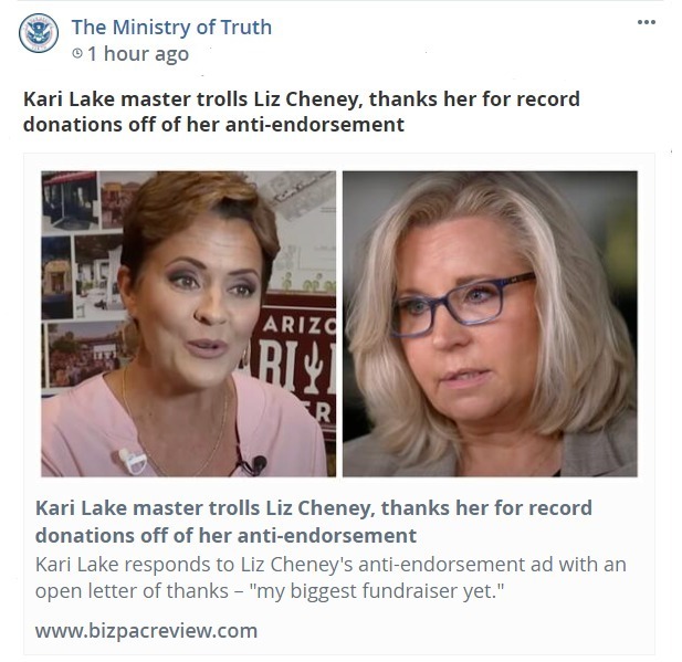 Kari Lake master trolls Liz Cheney, thanks her for record donations off ...