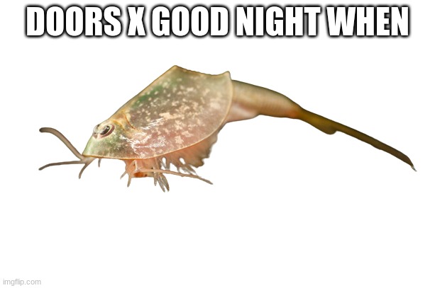 Tadpole Shrimp - Imgflip