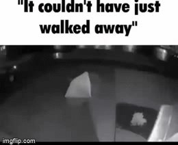 Animated GIF - Imgflip