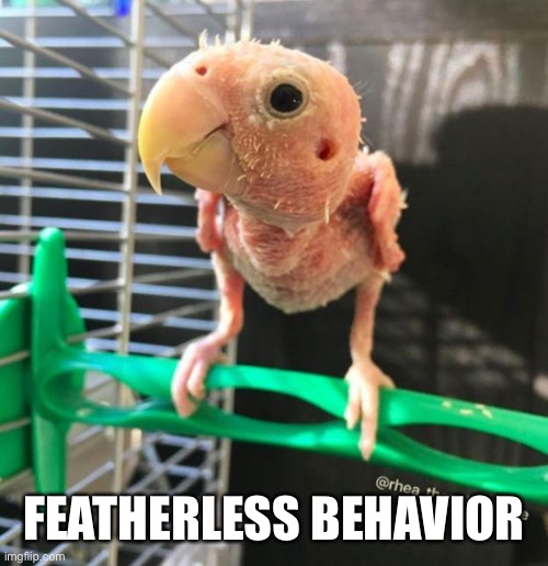 Proof of Jesus' crucifixion - Imgflip