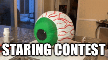 Rival staring contest - Imgflip